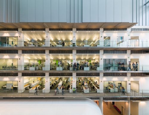 DISCOVER HOK DESIGN'S BEST 4 PROJECTS | Insplosion